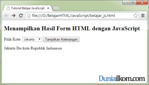 Cara Menampilkan Hasil Form HTML Dengan JavaScript